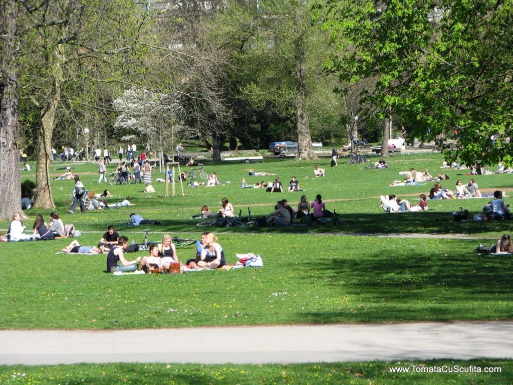 Oameni-relaxati-in-parc-primavara-1024x768 - MediaStandard.ro